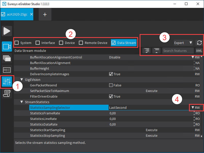 Configure the Camera GenApi Features
