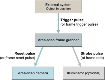 Trigger, Reset and Strobe in Area-Scan