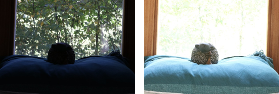 HDR Fusion