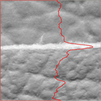 Detecting a Horizontal or Vertical Line Using Projection