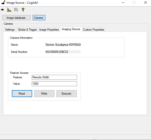 GenICam Features Access